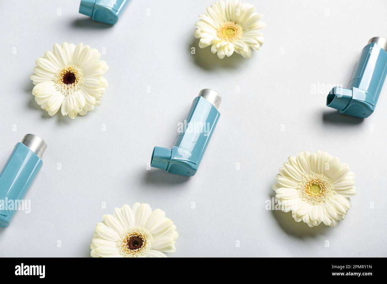 Pulmonary flowers hi-res stock photography and images - Alamy