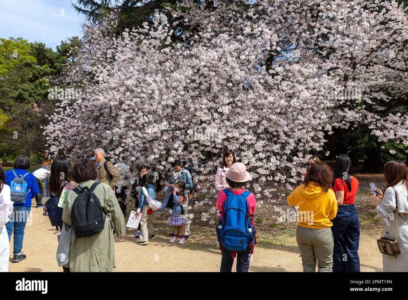 Tokyo Japan April 2023, visitors queue to have their photo taken ...