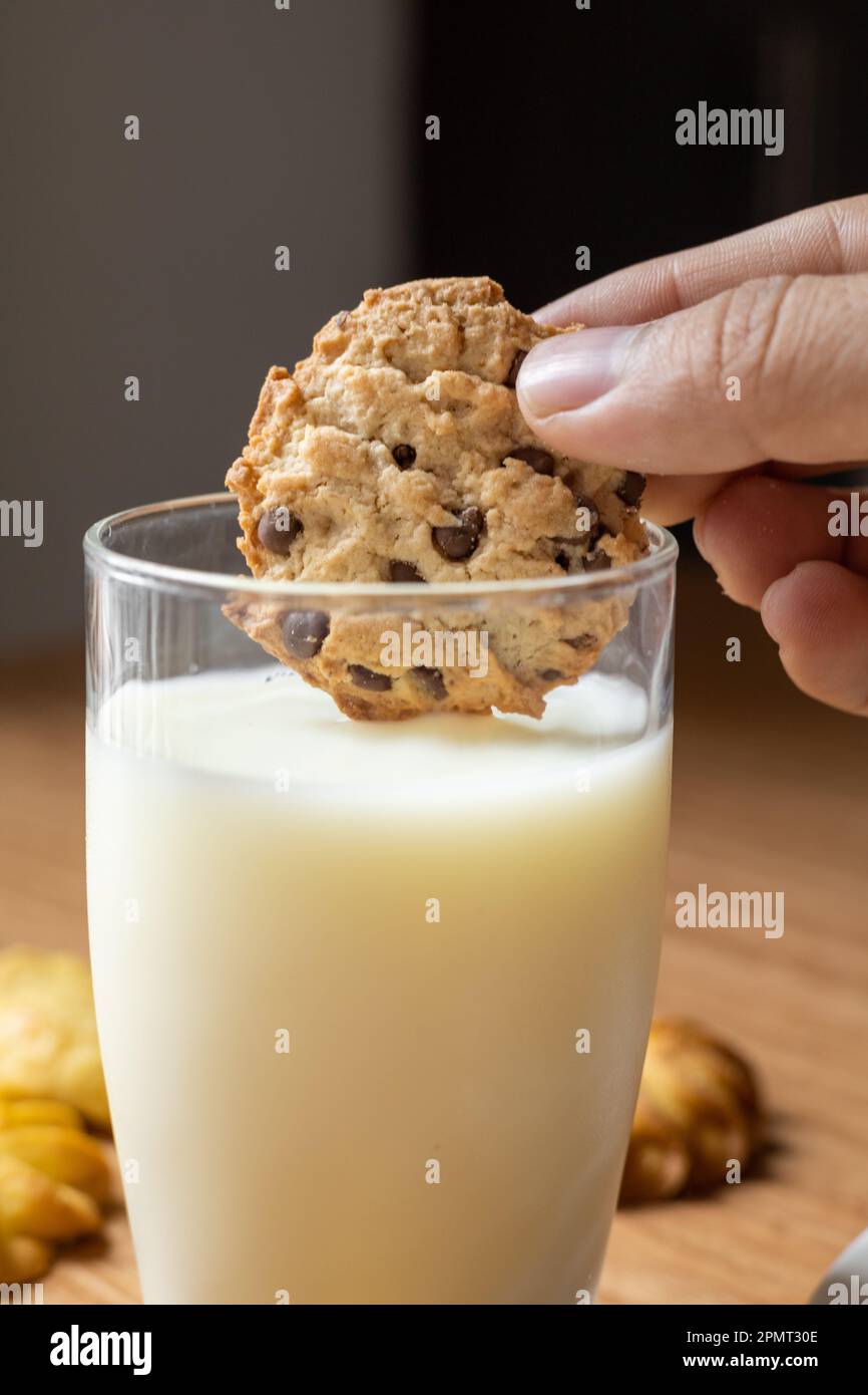 dipping a handmade chocolate chip cookie into a glass with fresh milk ...