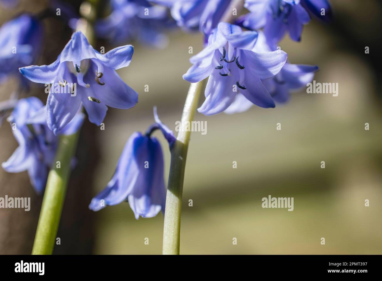 Spring like landscape hi-res stock photography and images - Alamy