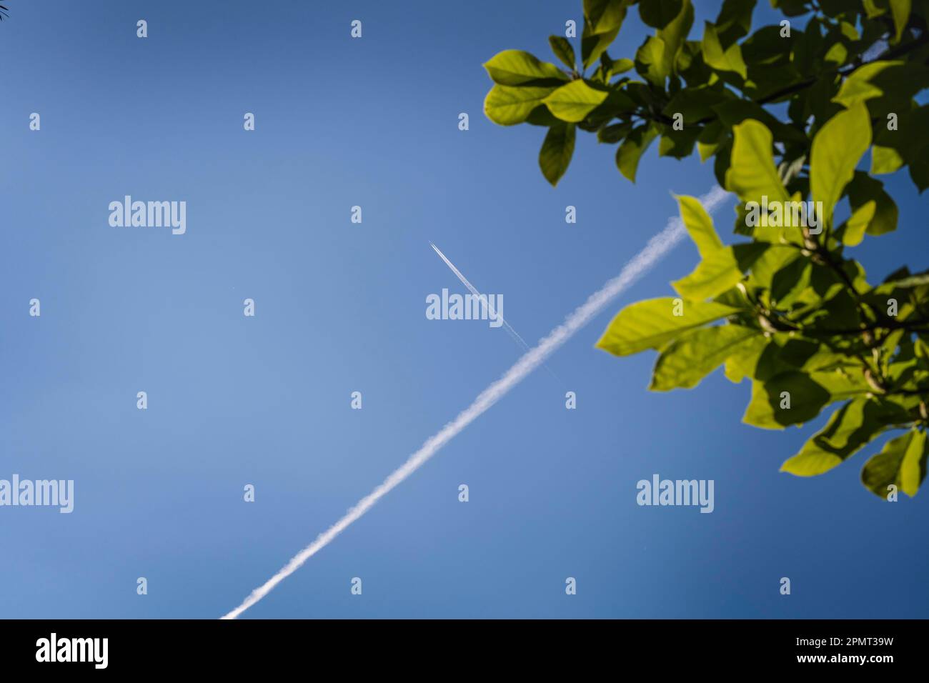 Aircraft Vapour trails between laves Stock Photo - Alamy