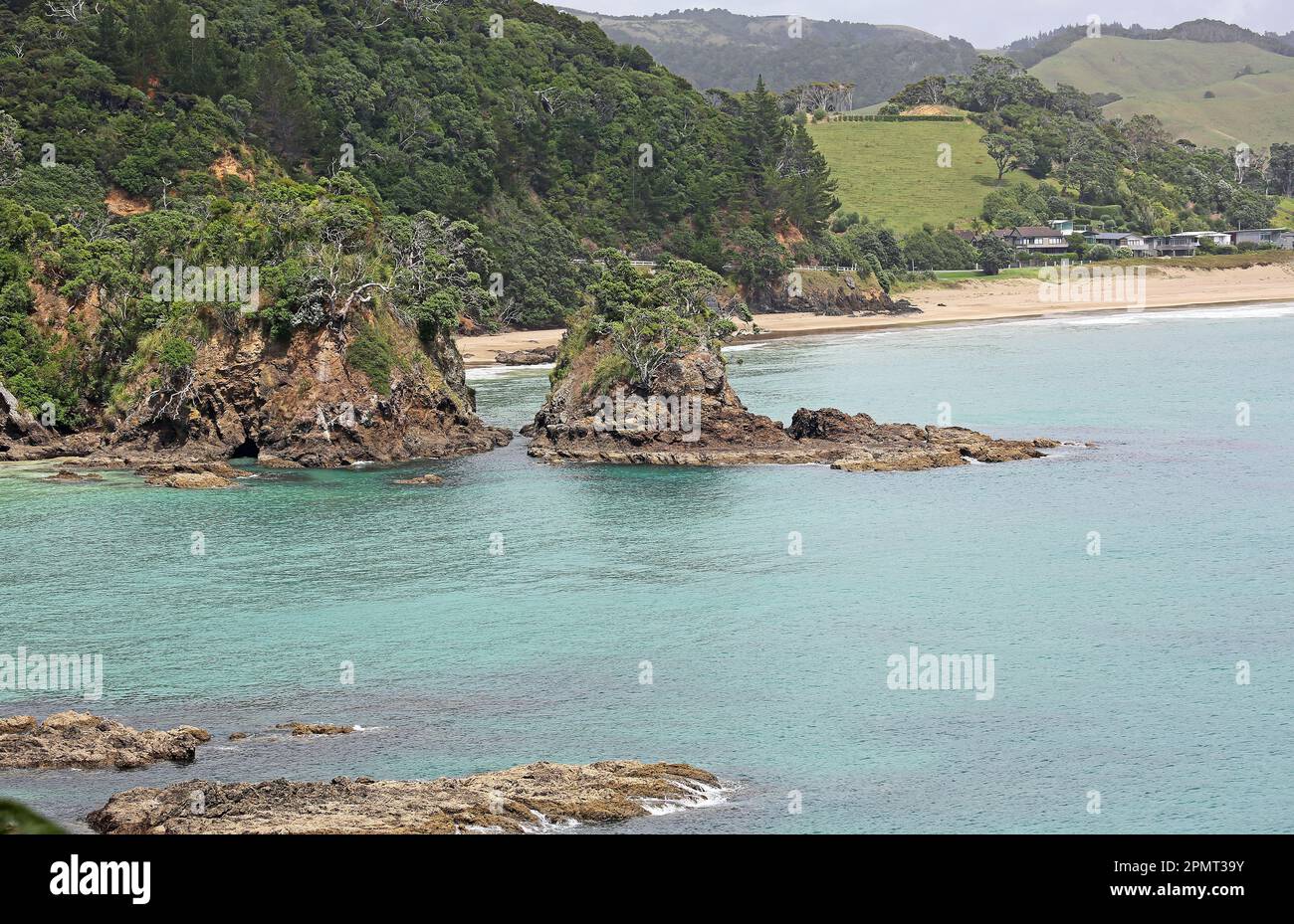Sandy bay new zealand hi-res stock photography and images - Alamy
