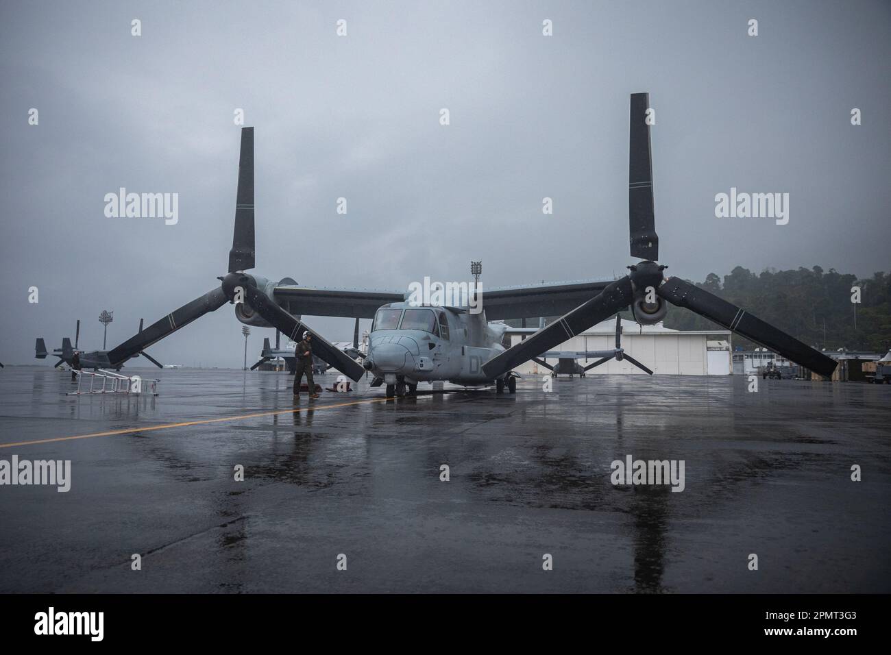 U.S. Marines with Marine Medium Tiltrotor Squadron (VMM) 268, 1st ...