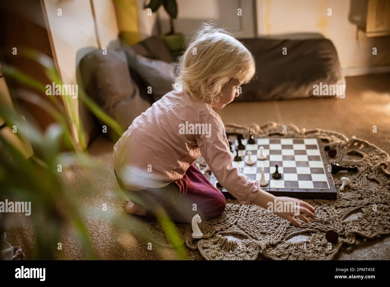 little girl collects chess and learns to play board games Stock Photo ... little girl collects chess and learns to play board games Stock Photo ...