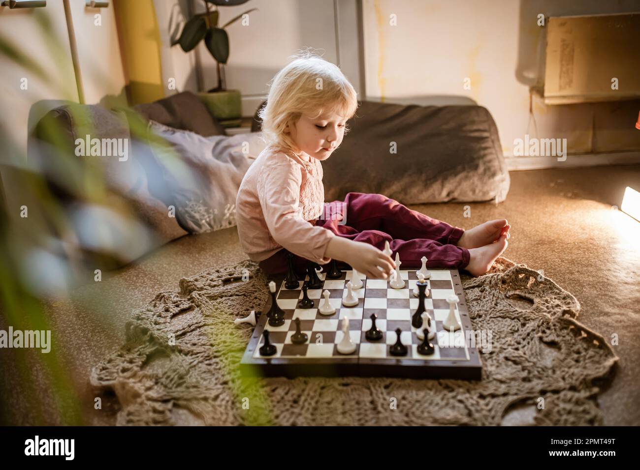child plays single game of chess at home on floor. Chessboard with the ...