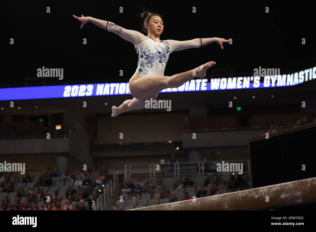 April 13, 2023: Andi Li (University of California Berkeley)during the ...
