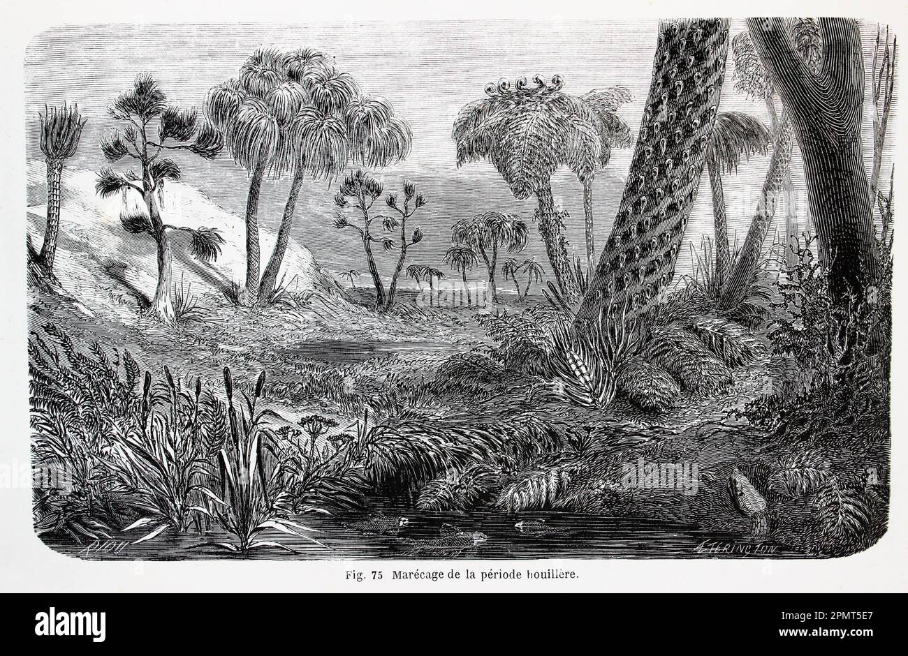 The land before the flood Stock Photo - Alamy