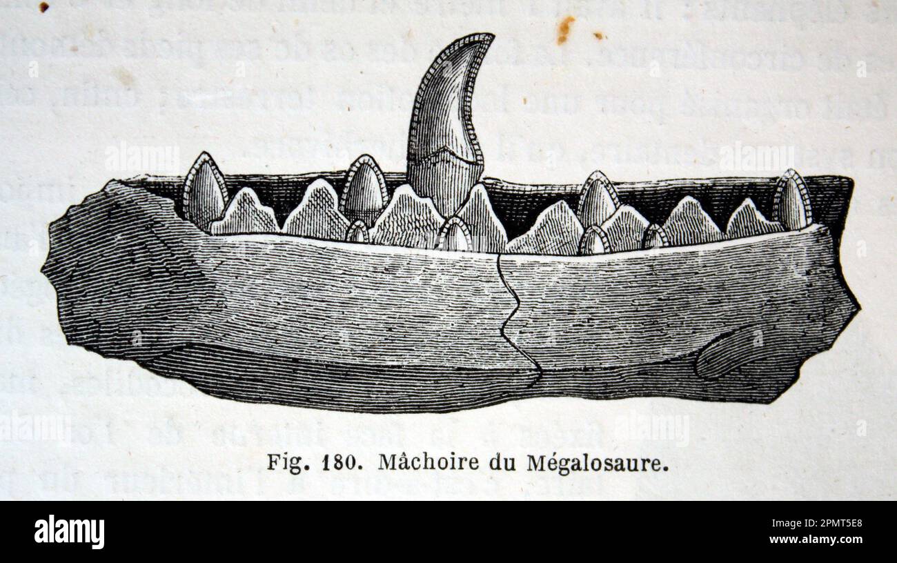 The land before the flood Stock Photo - Alamy