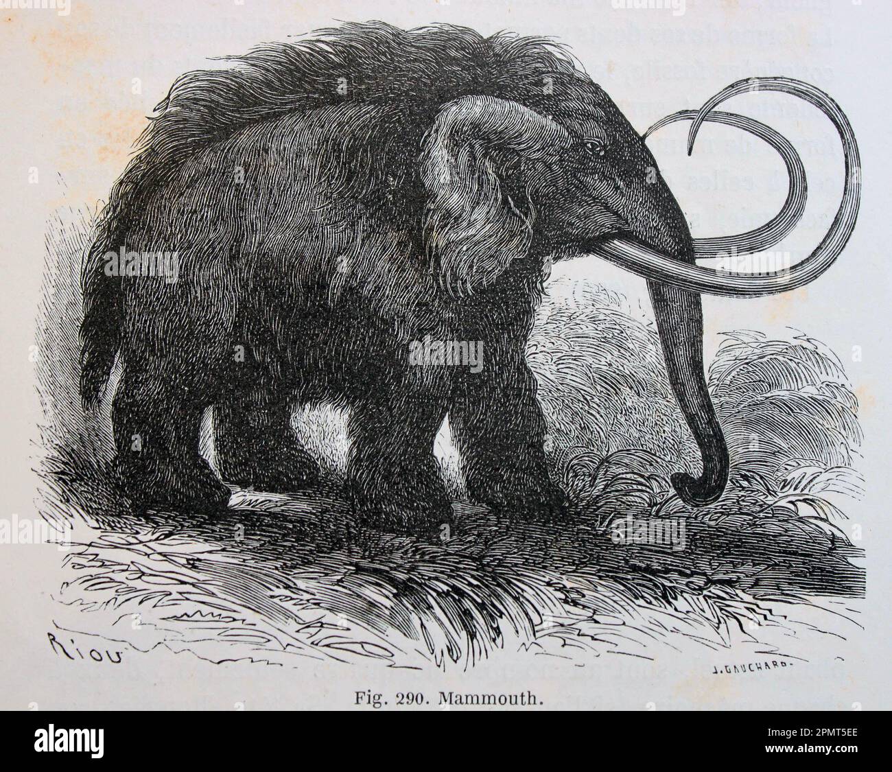 The land before the flood Stock Photo - Alamy