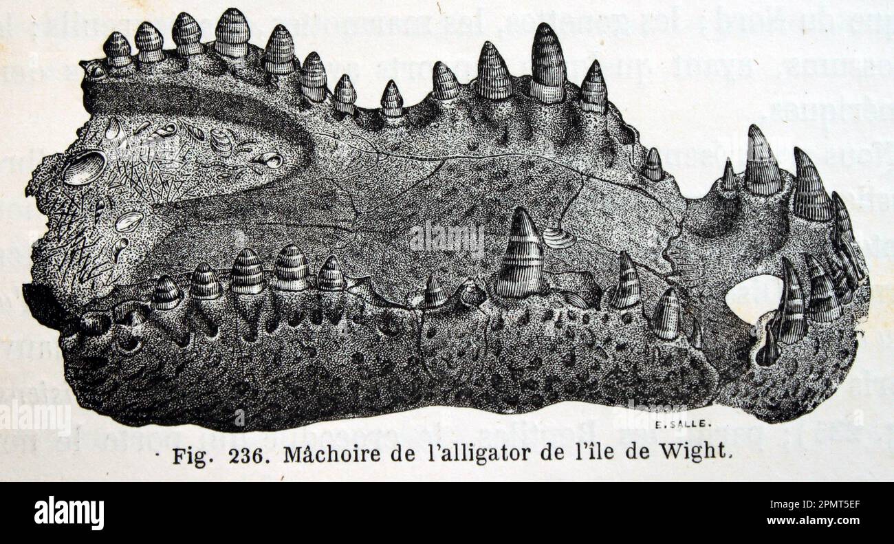 The land before the flood Stock Photo - Alamy