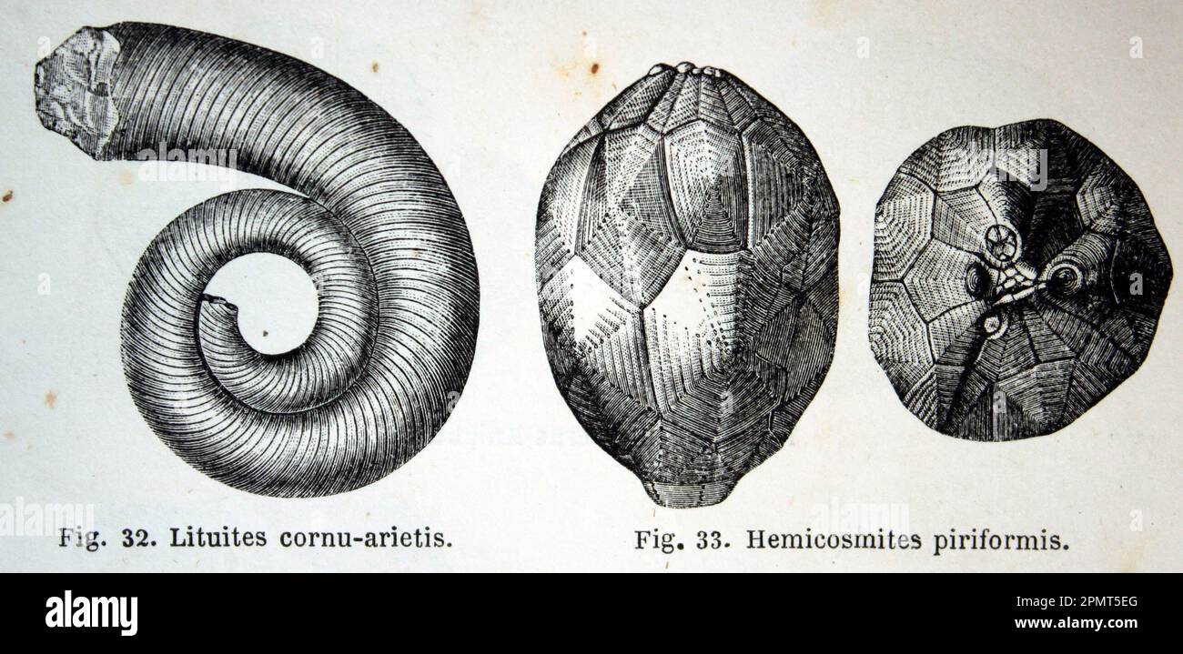 The land before the flood Stock Photo - Alamy