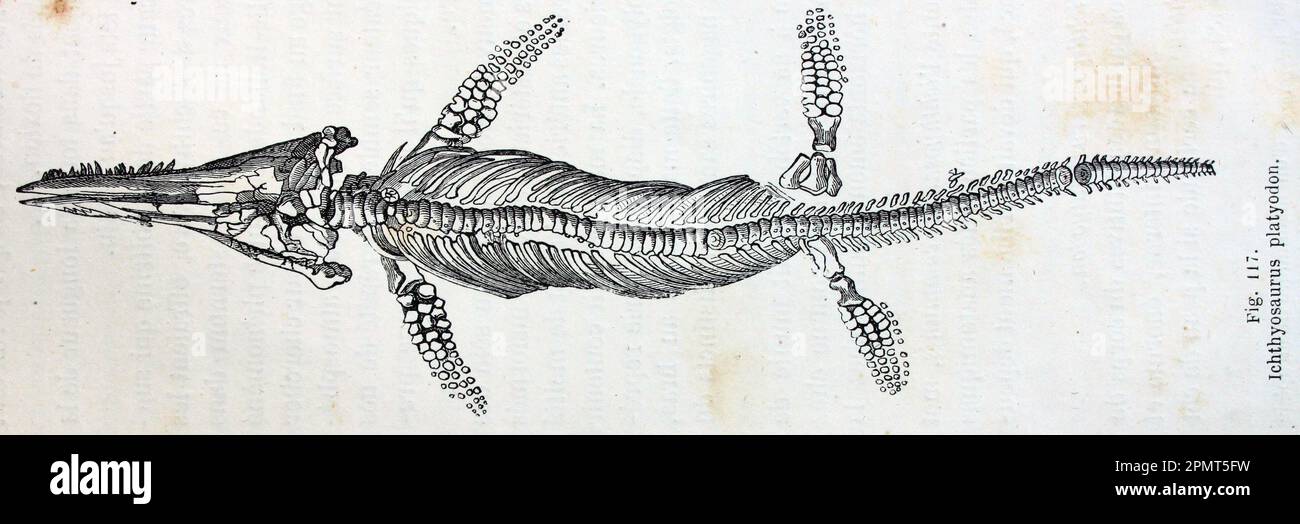 The land before the flood Stock Photo - Alamy