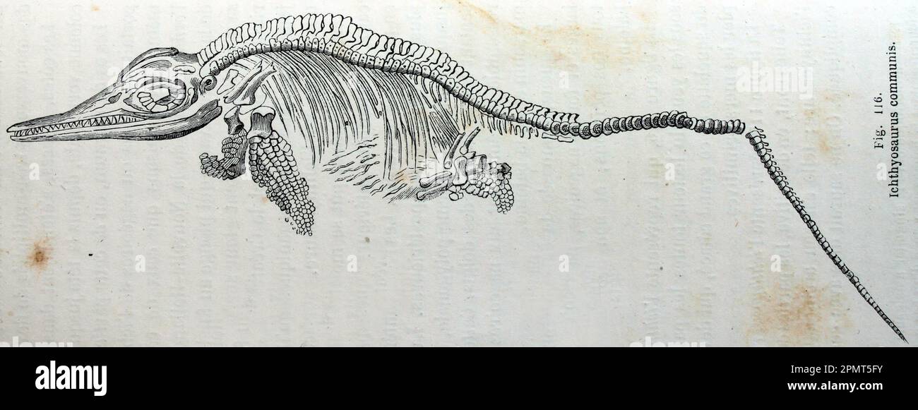 The land before the flood Stock Photo - Alamy