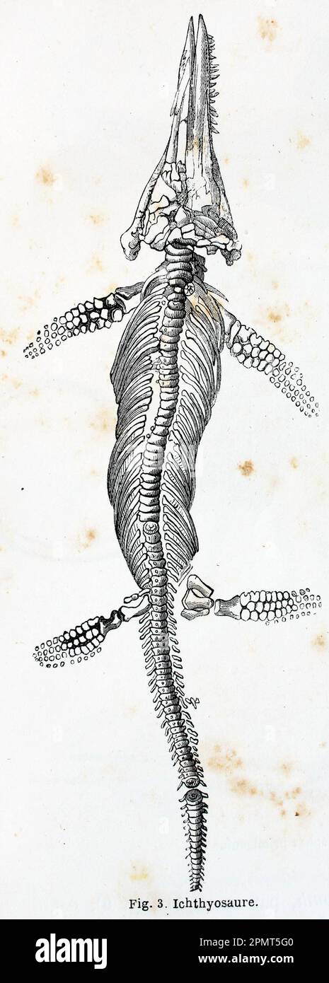 The land before the flood Stock Photo - Alamy