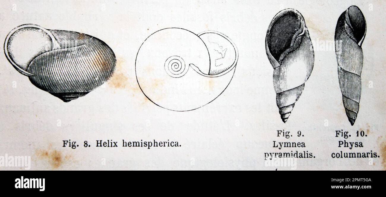 The land before the flood Stock Photo - Alamy