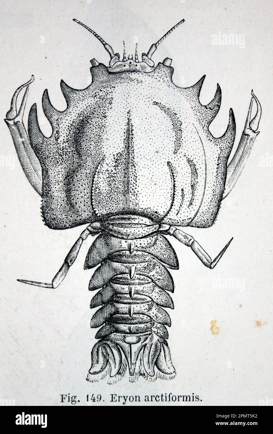 The land before the flood Stock Photo - Alamy