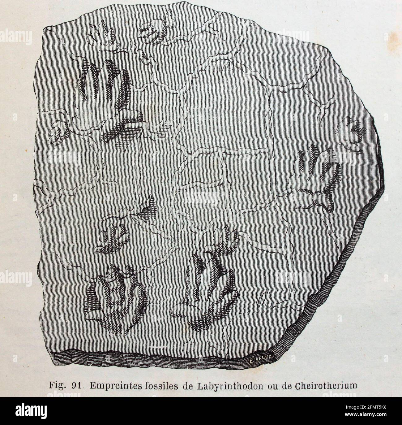 The land before the flood Stock Photo - Alamy