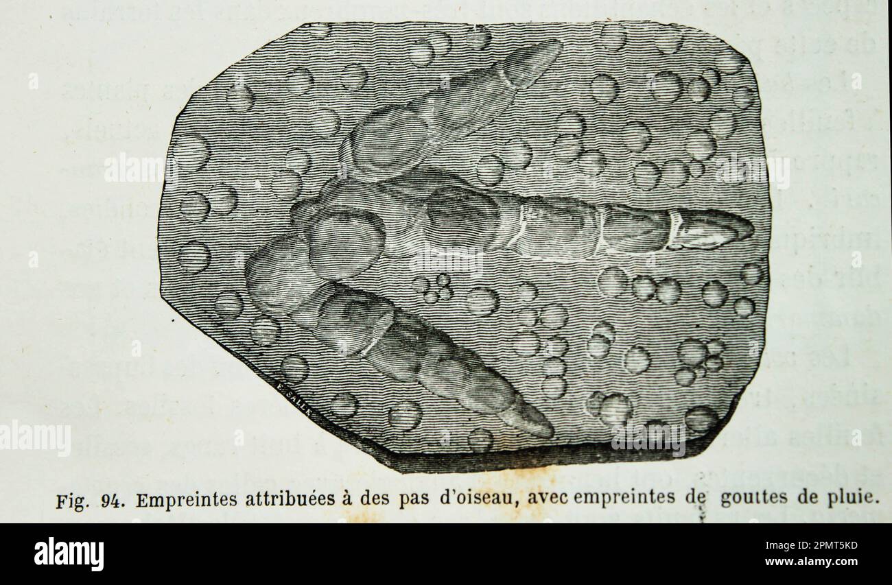 The land before the flood Stock Photo - Alamy