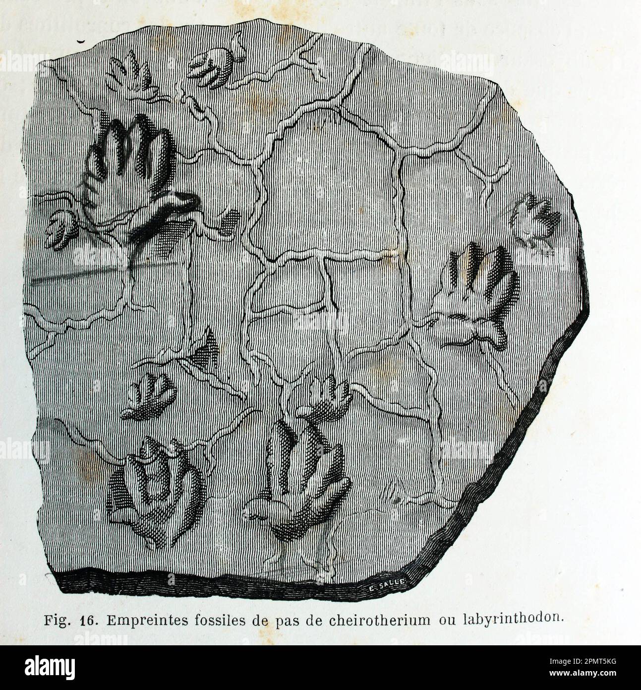 The land before the flood Stock Photo - Alamy