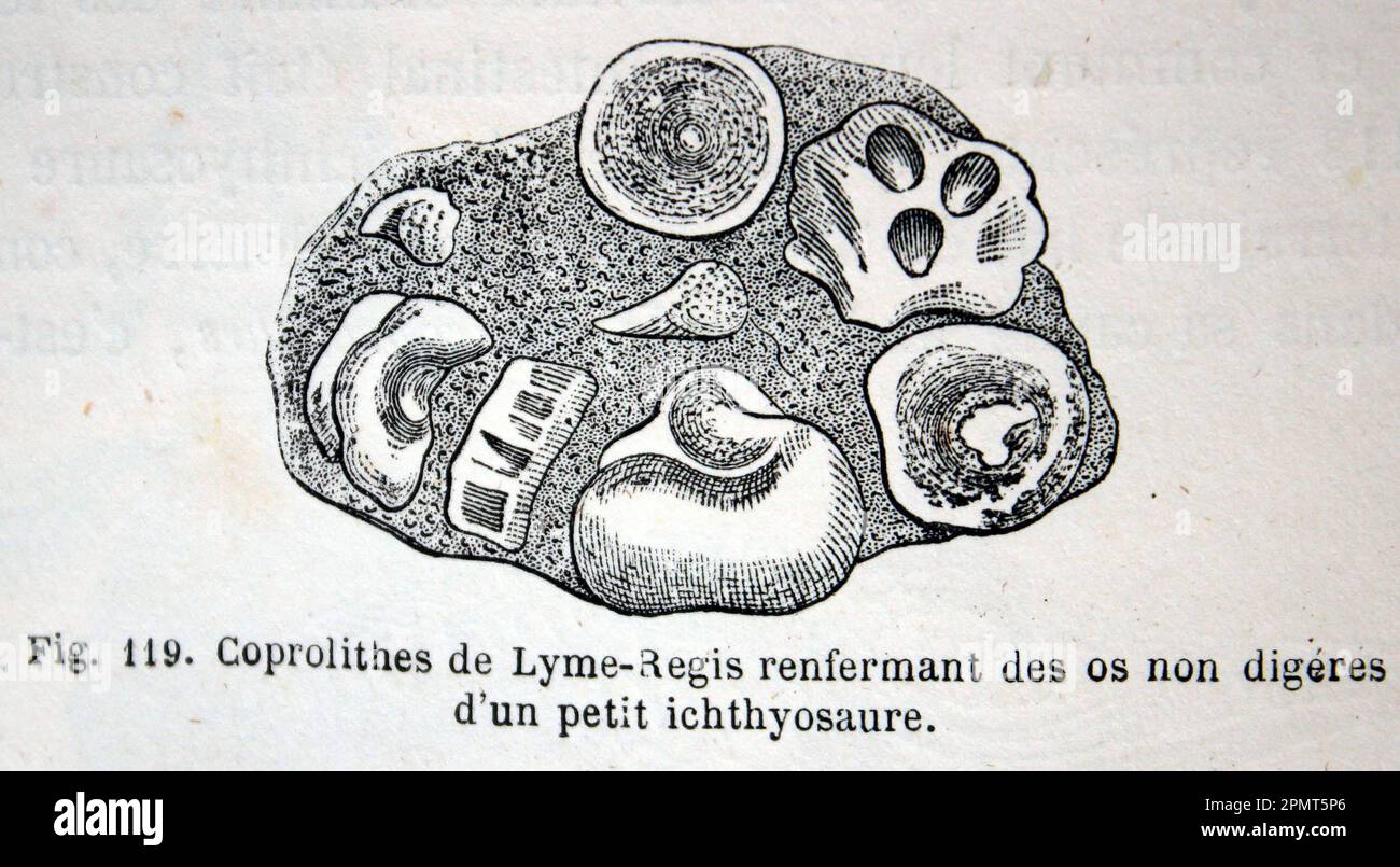 The land before the flood Stock Photo - Alamy