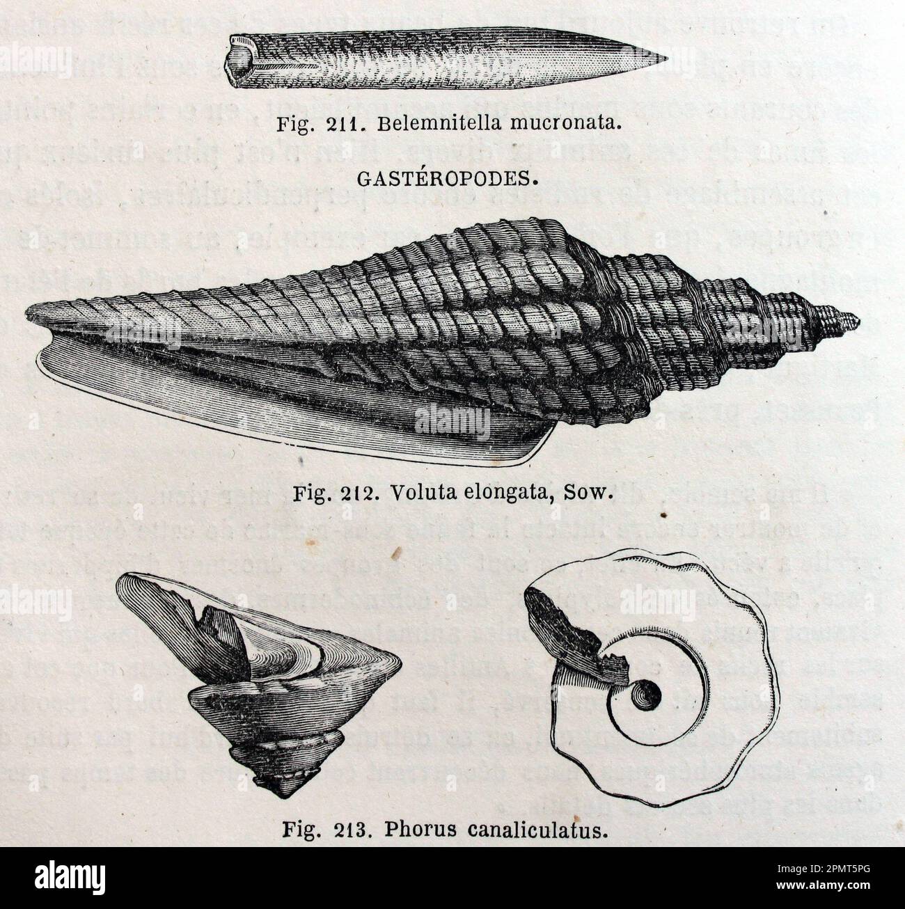 The land before the flood Stock Photo - Alamy