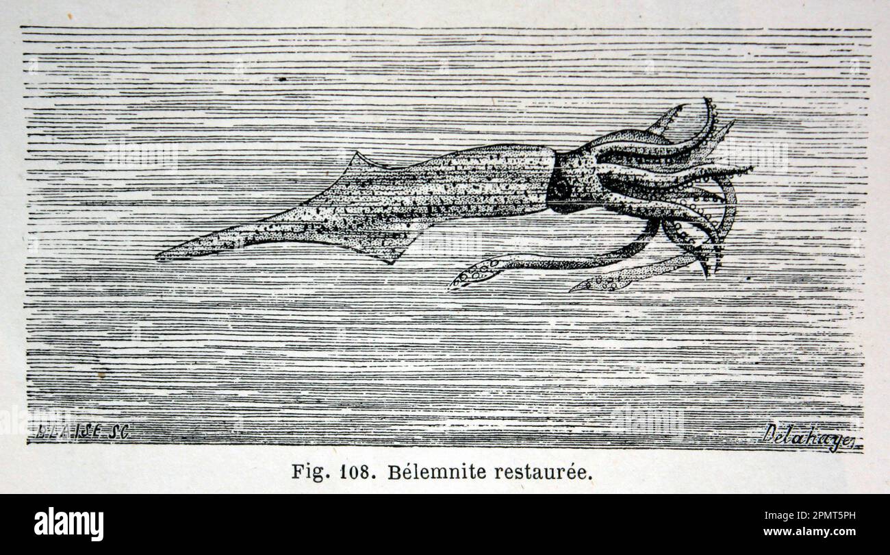 The land before the flood Stock Photo - Alamy