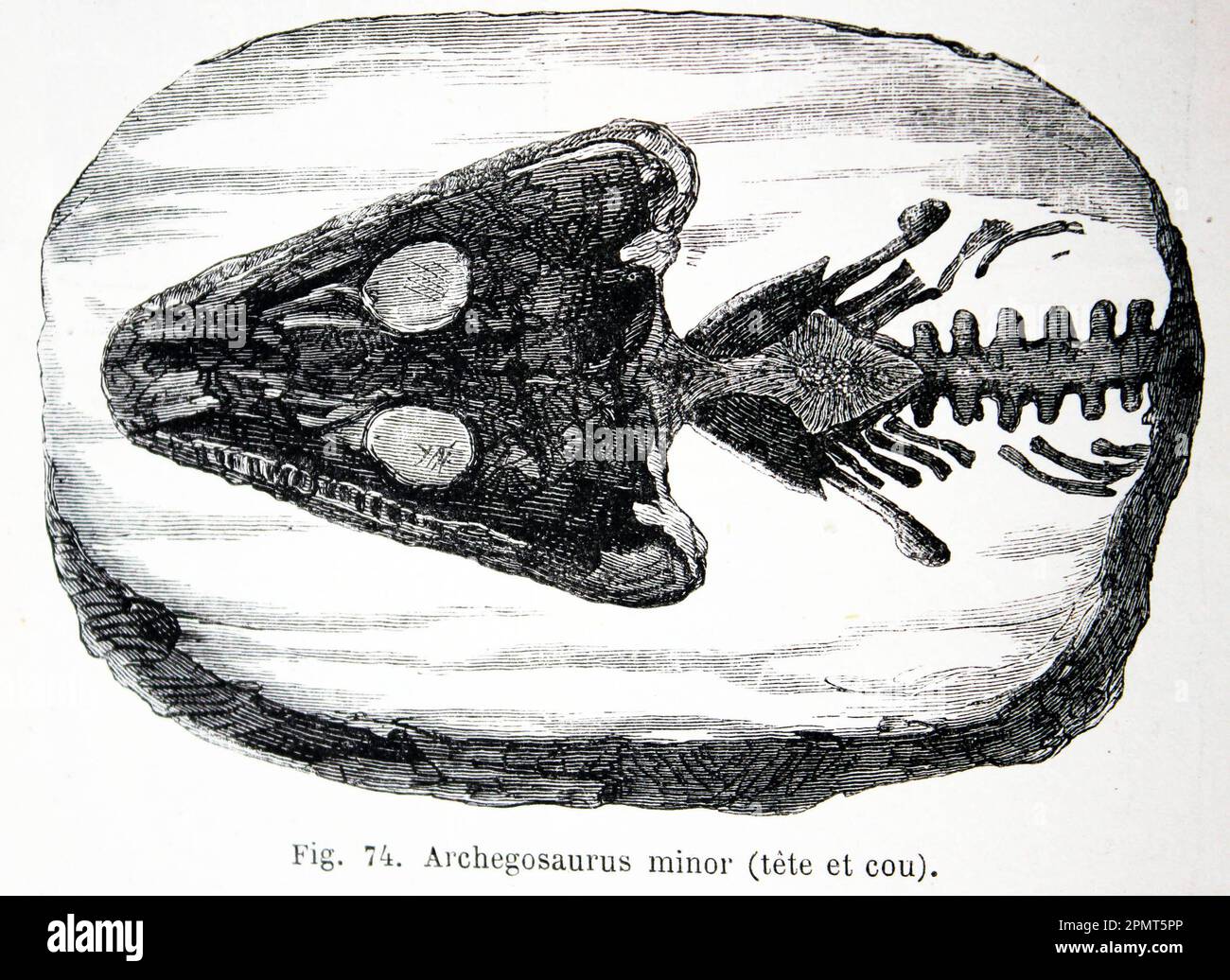 The land before the flood Stock Photo - Alamy