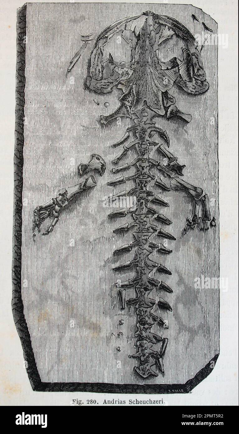 The land before the flood Stock Photo - Alamy