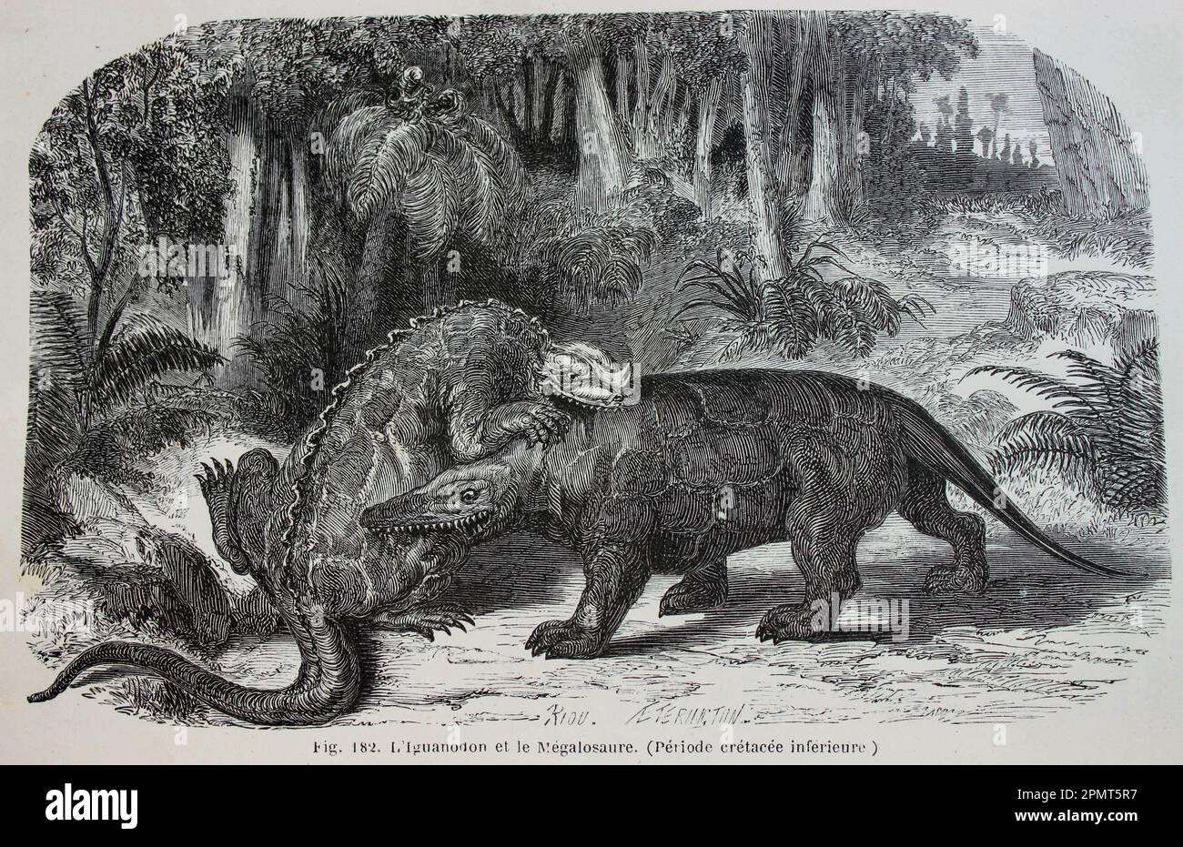 The land before the flood Stock Photo - Alamy