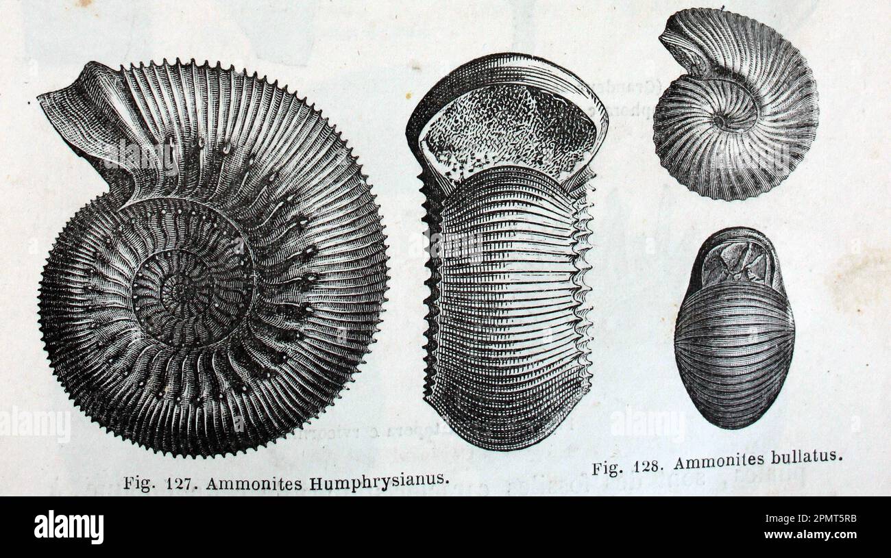 The land before the flood Stock Photo - Alamy