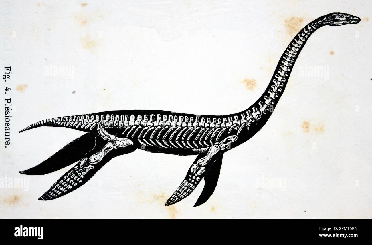 The land before the flood Stock Photo - Alamy