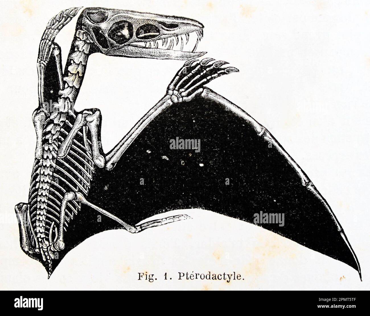 The land before the flood Stock Photo - Alamy