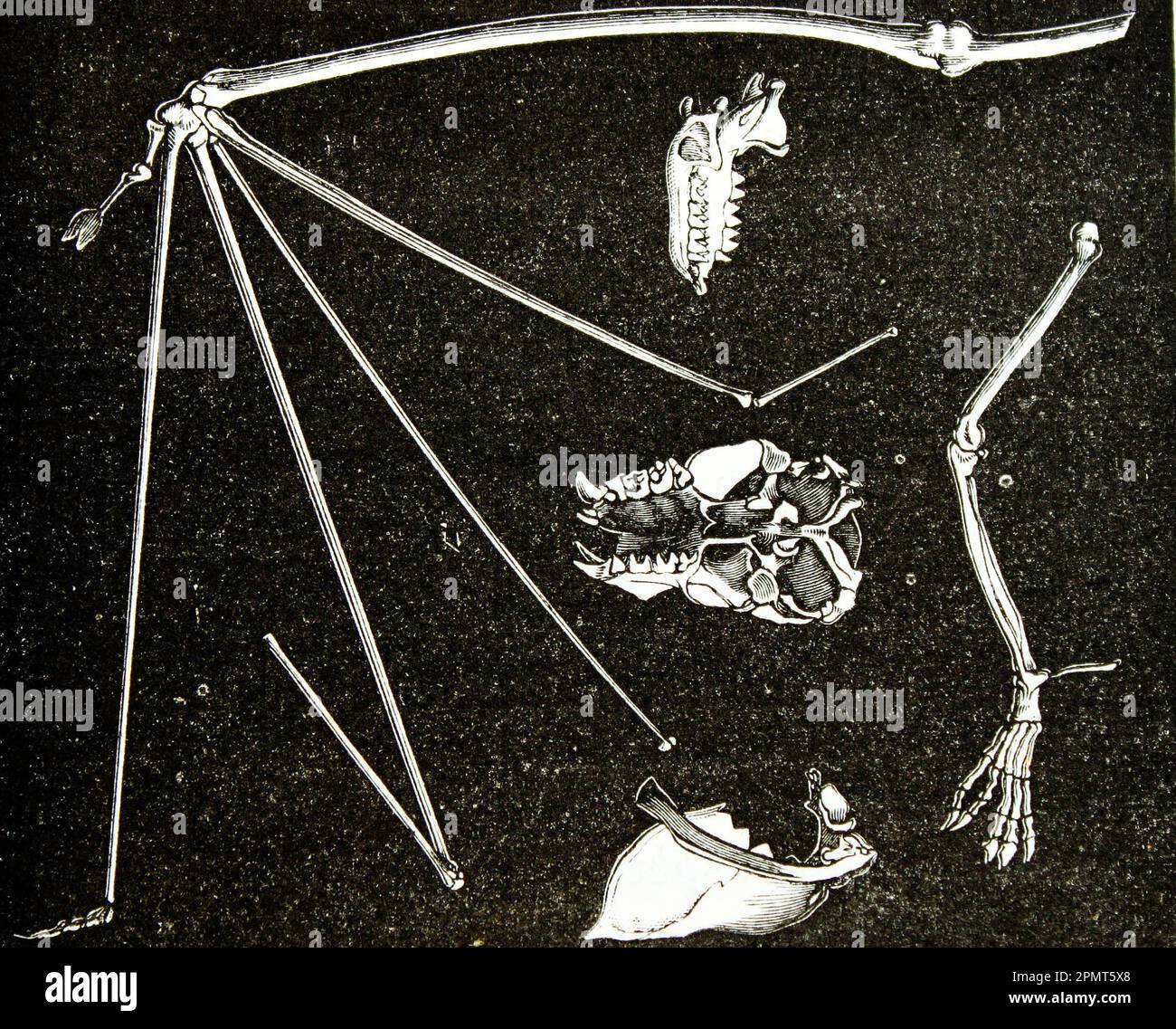 The land before the flood Stock Photo - Alamy