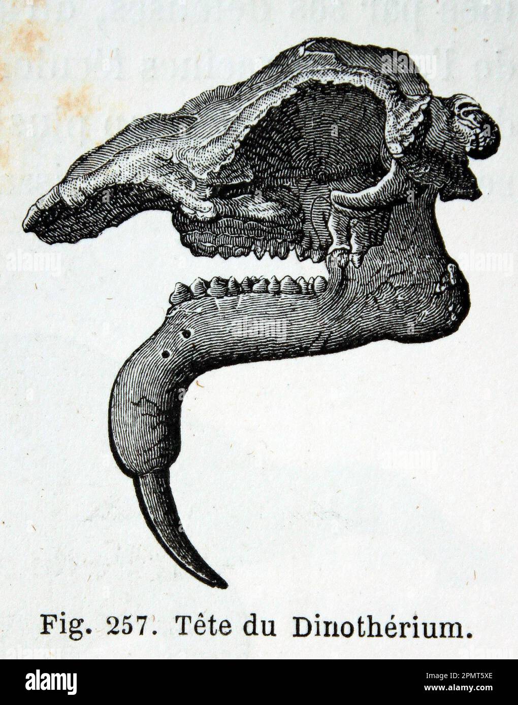 The land before the flood Stock Photo - Alamy