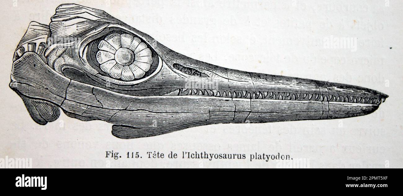 The land before the flood Stock Photo - Alamy