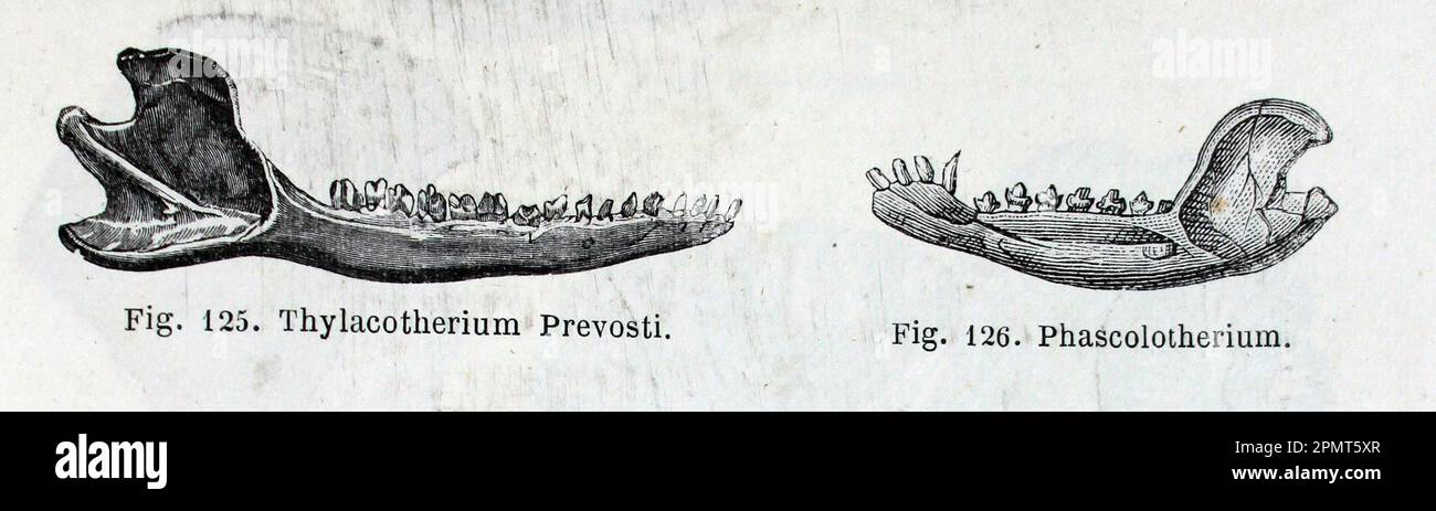 The land before the flood Stock Photo - Alamy