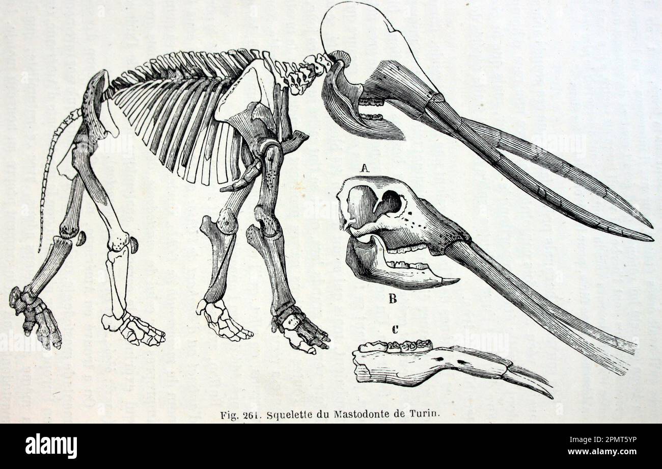 The land before the flood Stock Photo - Alamy