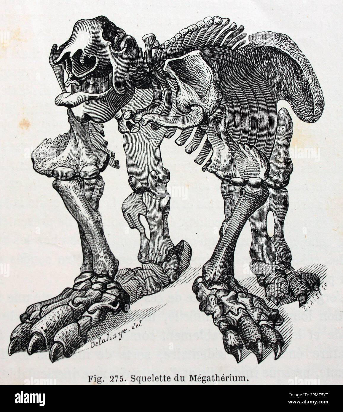 The land before the flood Stock Photo - Alamy