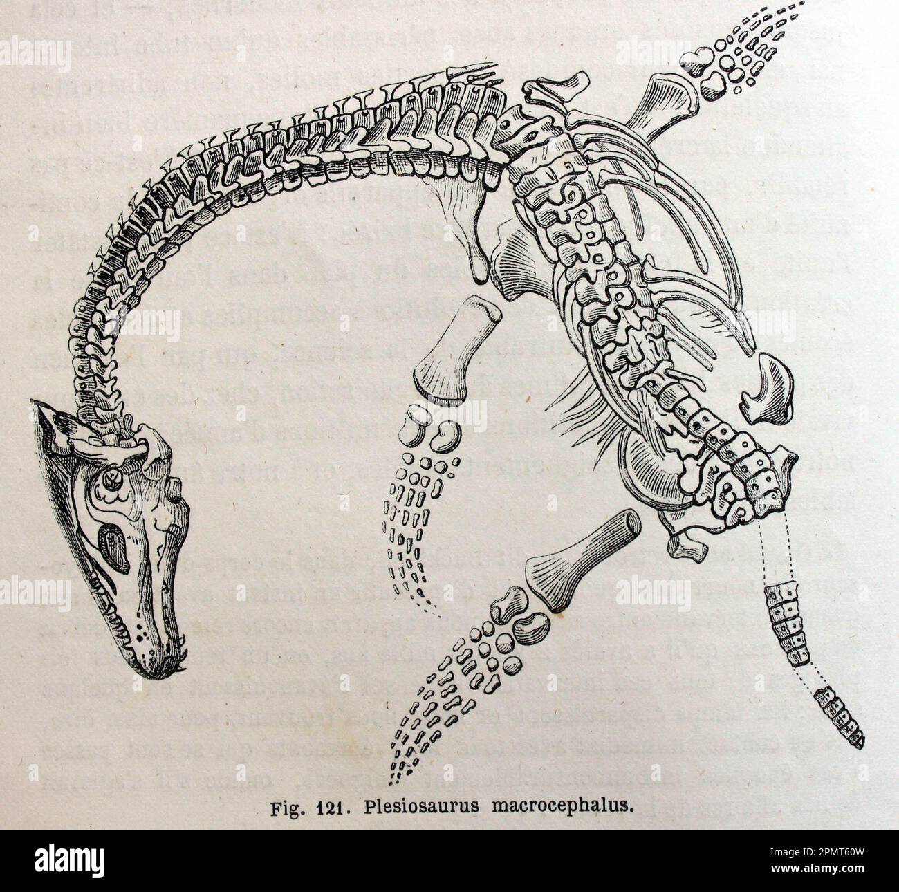 The land before the flood Stock Photo - Alamy