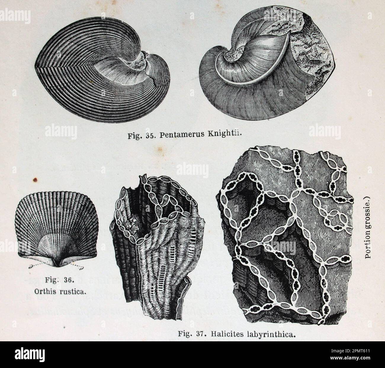 The land before the flood Stock Photo - Alamy