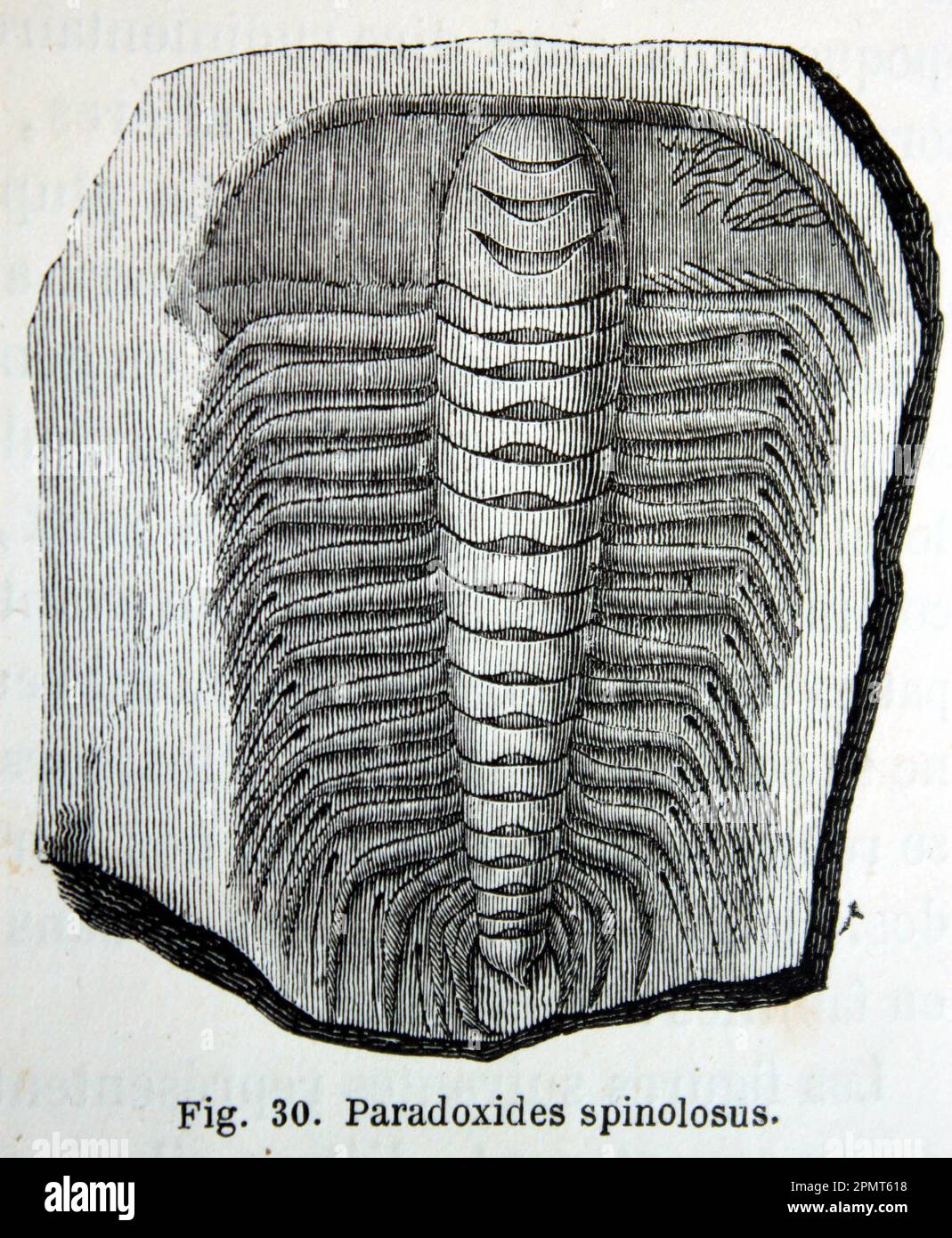 The land before the flood Stock Photo - Alamy