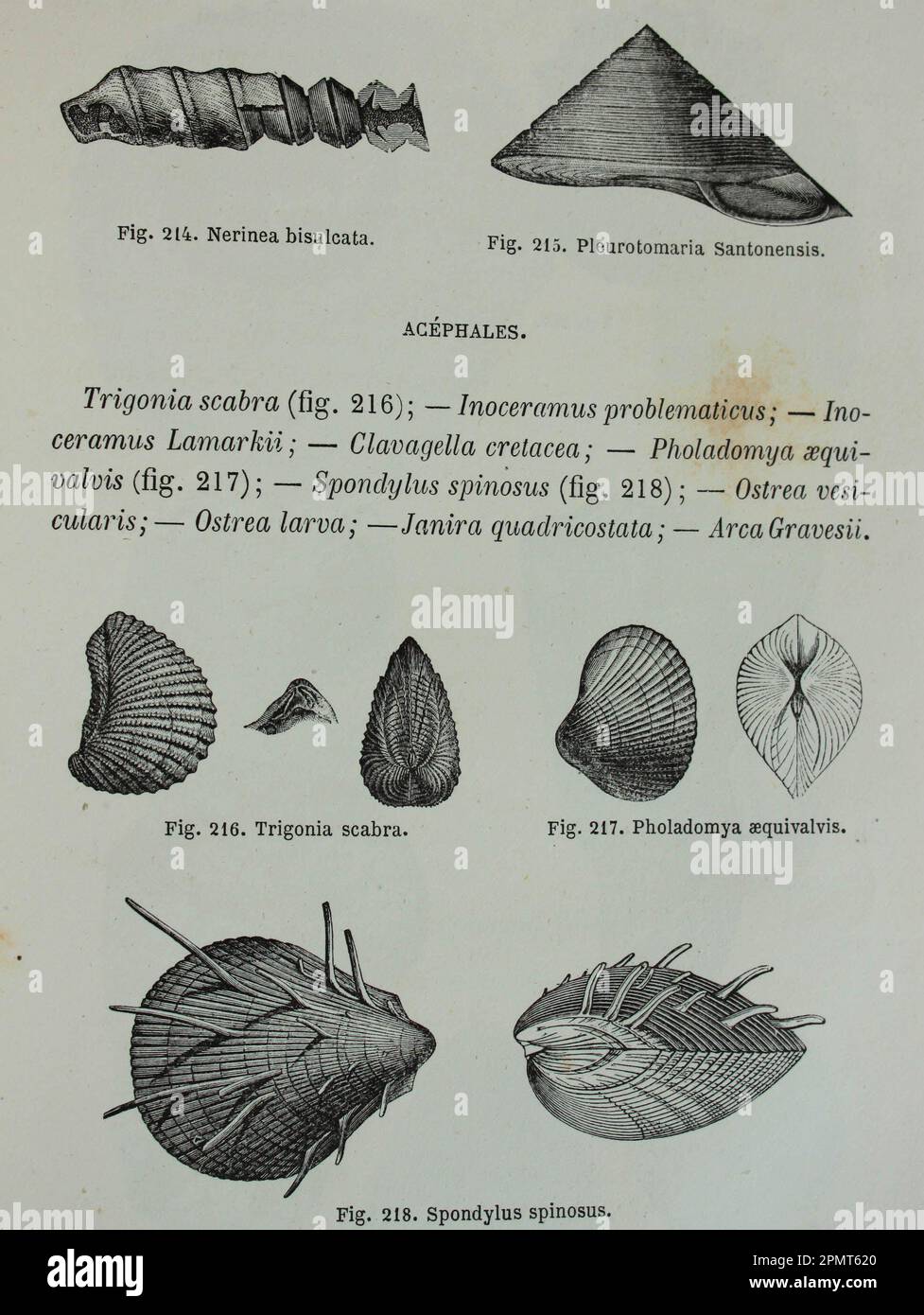 The land before the flood Stock Photo - Alamy