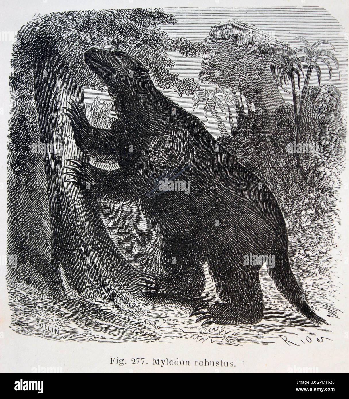 The land before the flood Stock Photo - Alamy