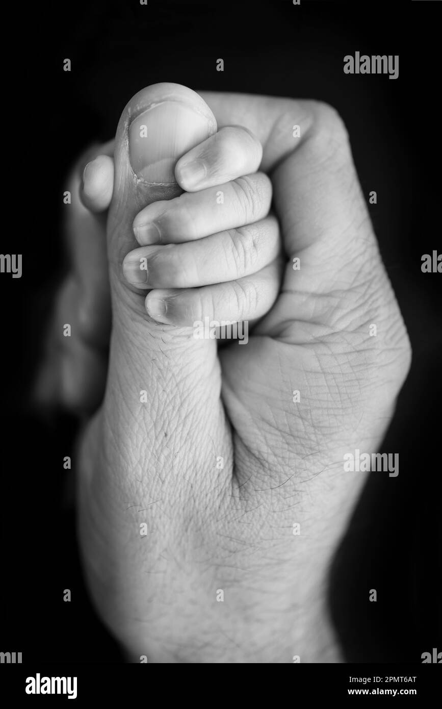 Close-up of the small hand of the child and the hand of the mother and ...