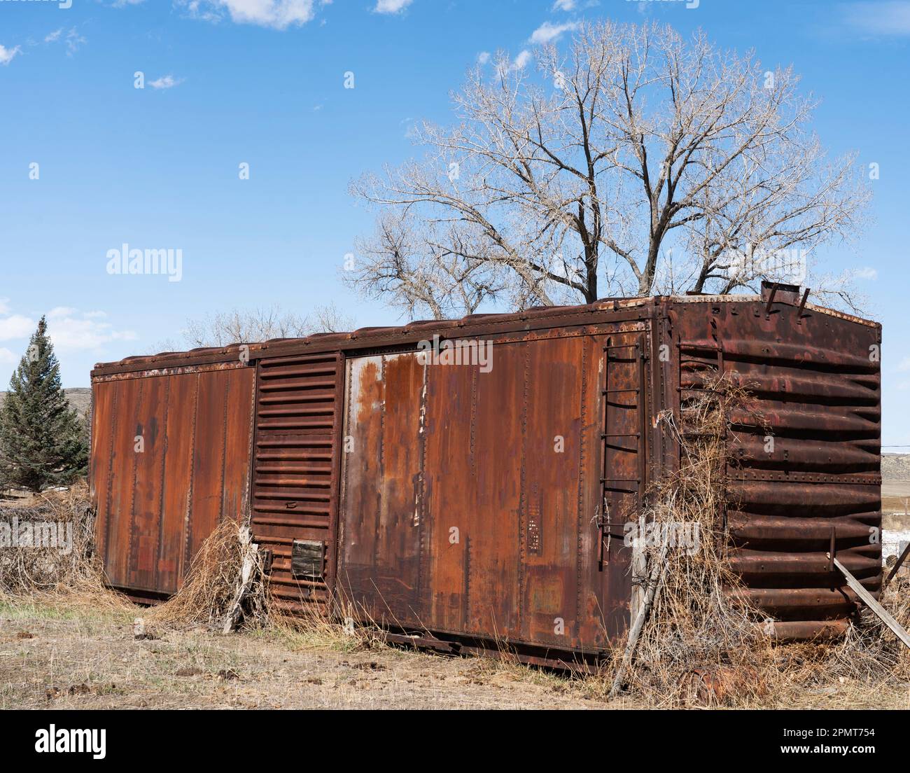 Train in the weeds hi-res stock photography and images - Alamy