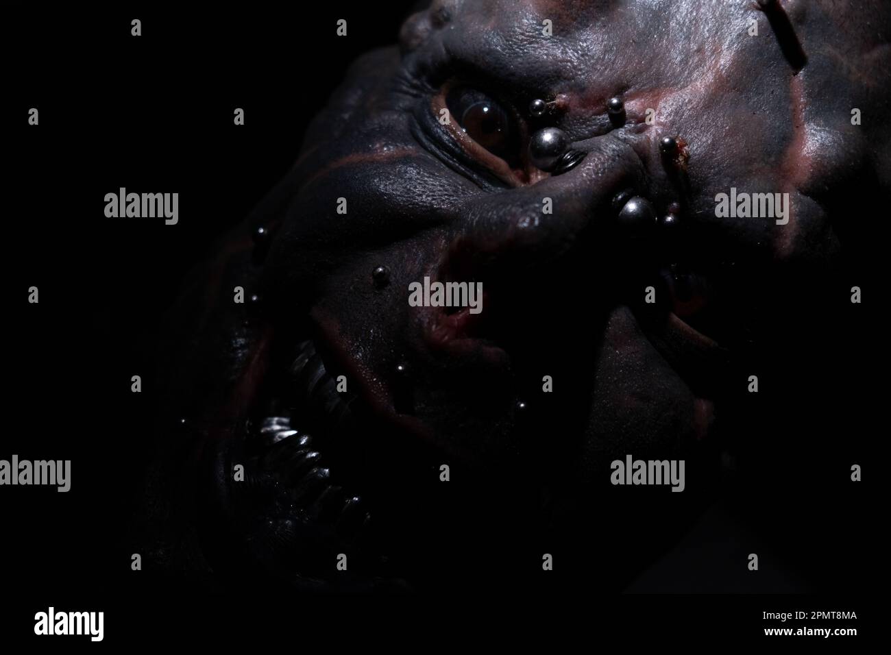 Bodymod hi-res stock photography and images - Alamy