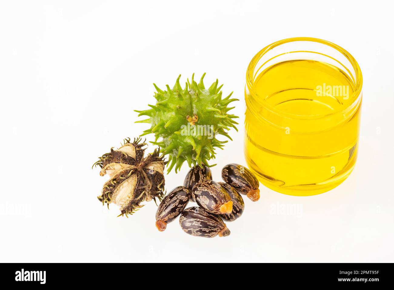 Oil, seeds and fruits of Ricinus communis - Medicinal product Stock ...