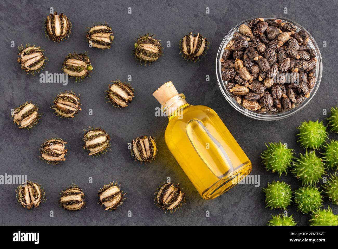 Ricinus communis oil in the glass container - Organic castor seeds ...