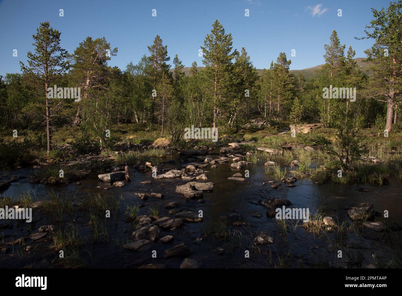 Hulderstigen is an easy trail crossing Sjoa river towards Stuttgonglia ...