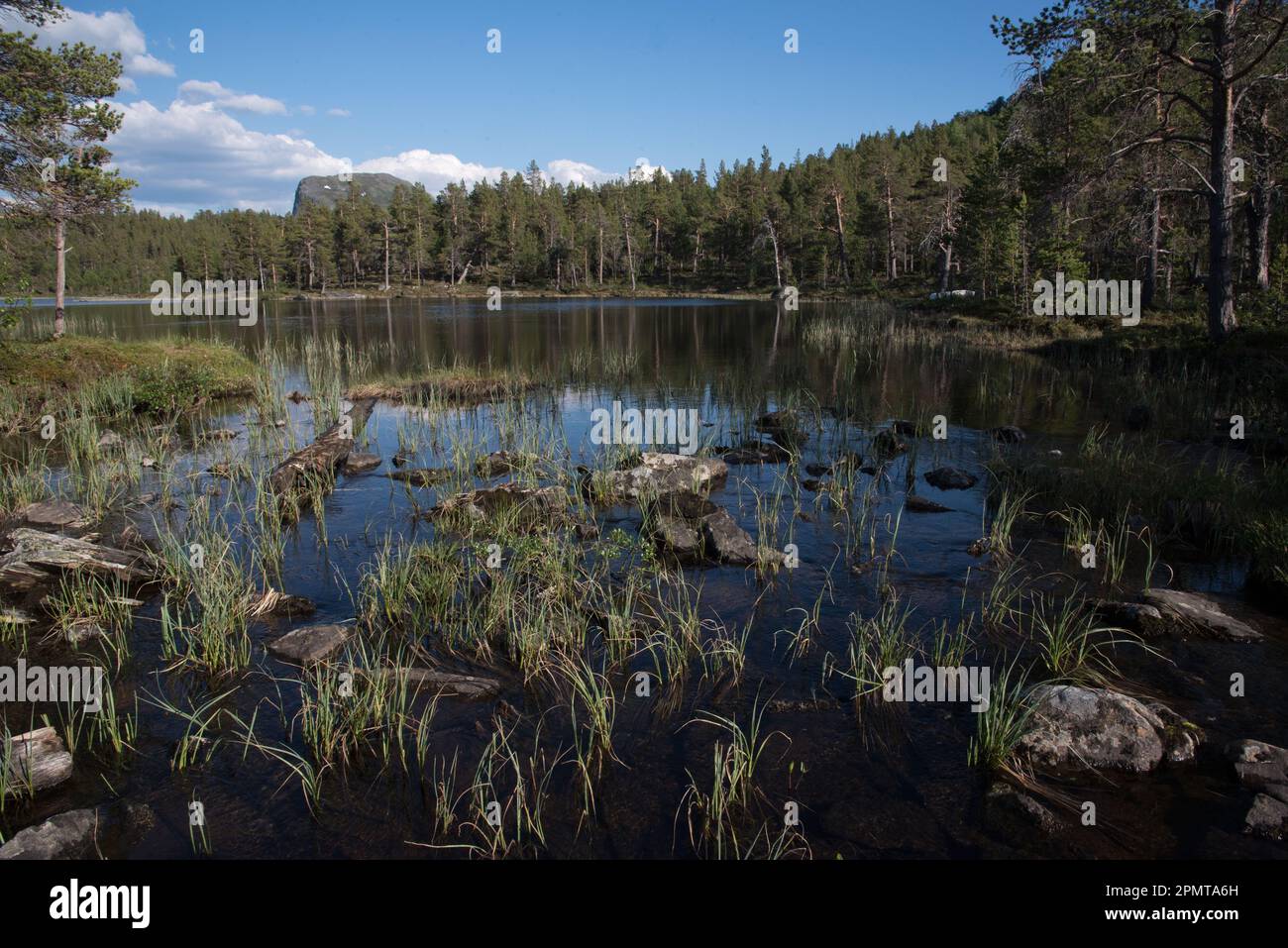 Hulderstigen is an easy trail crossing Sjoa river towards Stuttgonglia ...